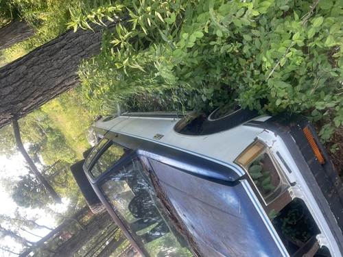 Classified Listing | 86 s10 | 788141